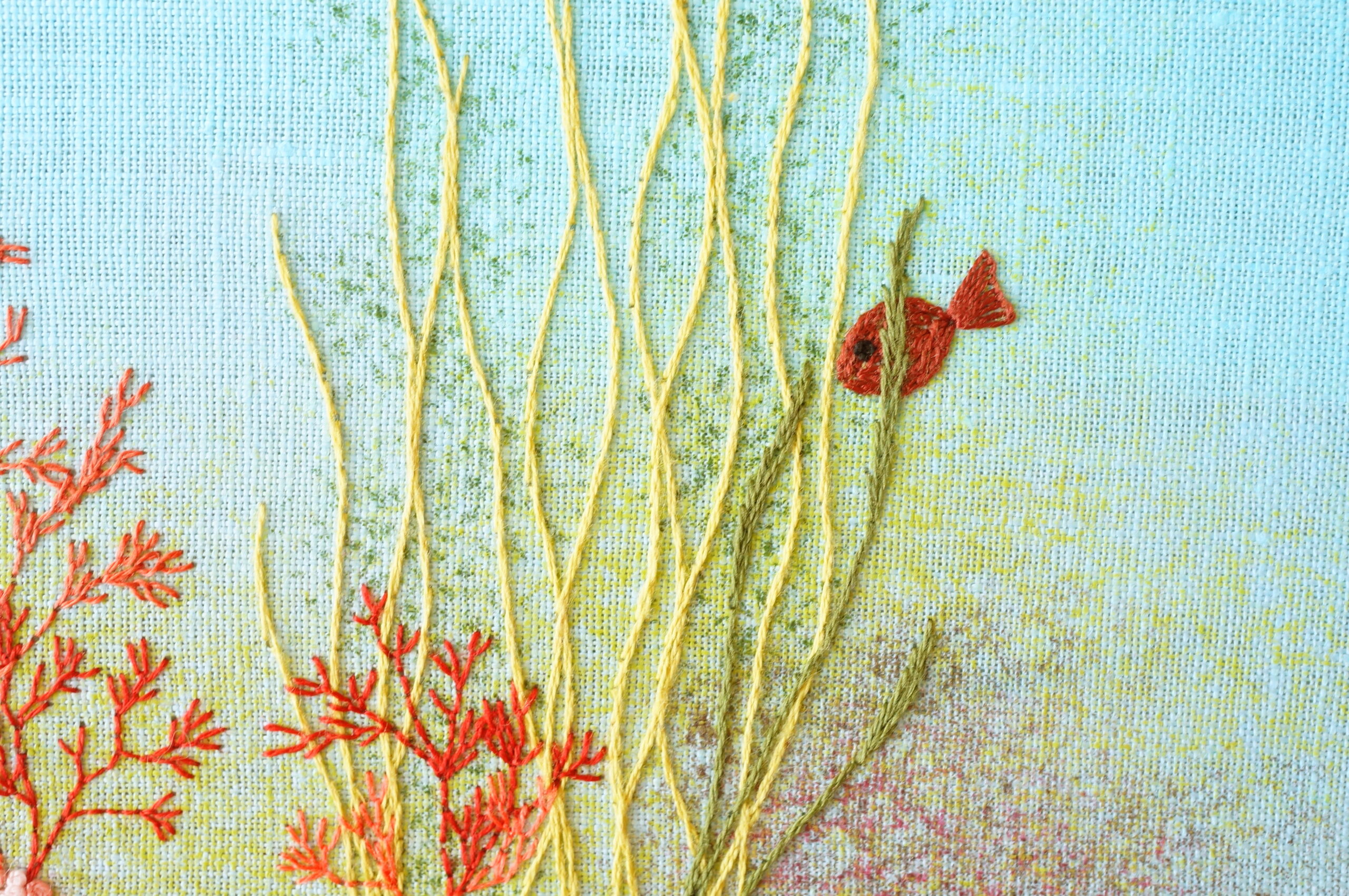 Découverte d’un paradis – Blog Le rire de l'arc-en-ciel